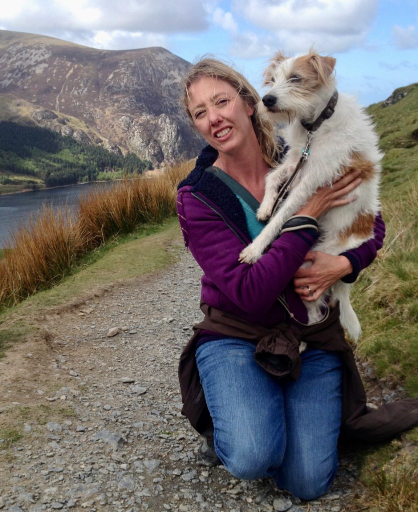 Cornish Garden Company, First Choice Trebetherick Gardeners